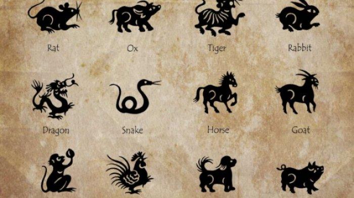 Prediksi Peruntungan Shio Hari Ini Senin 18 Januari 2021, Shio Kelinci ...