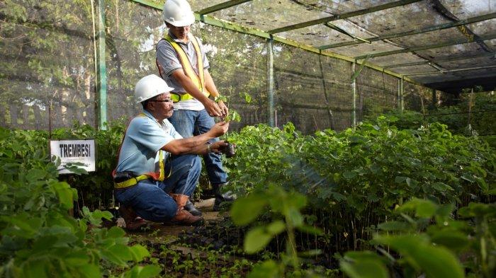 Kitadin Site Embalut Masuki Pascatambang, Kolam Bekas Tambang Jadi ...