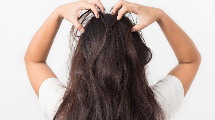 Jangan Sembarangan Menyisir Rambut, Ini Cara Menyisir Rambut dengan ...