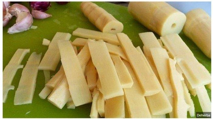 Sering Konsumsi Rebung, Ini Khasiat Yang Perlu Anda Ketahui ...