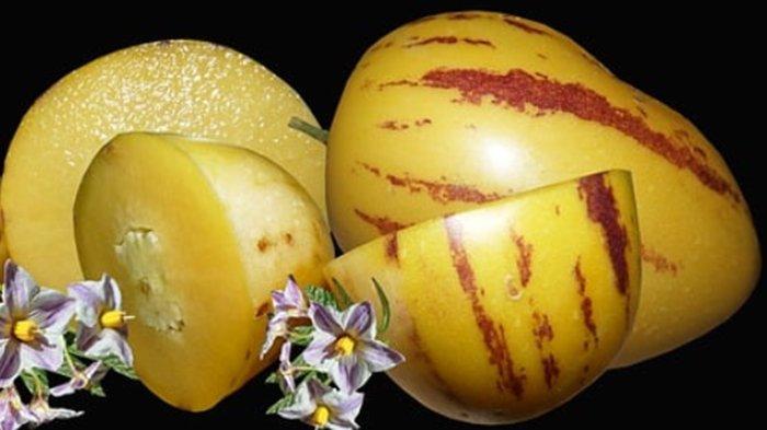 12 Manfaat Buah Pepino bagi Kesehatan, Turunkan Kolesterol dan Tekanan ...