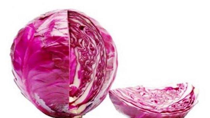 Pencegahan Kanker hingga Bantu Turunkan Berat Badan, Inilah 10 Manfaat ...