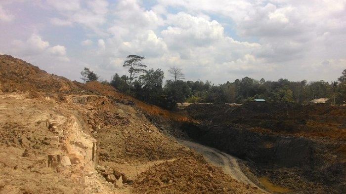 Dinas ESDM Cek Pematangan Lahan dengan Singkapan Batu Bara di Samping ...