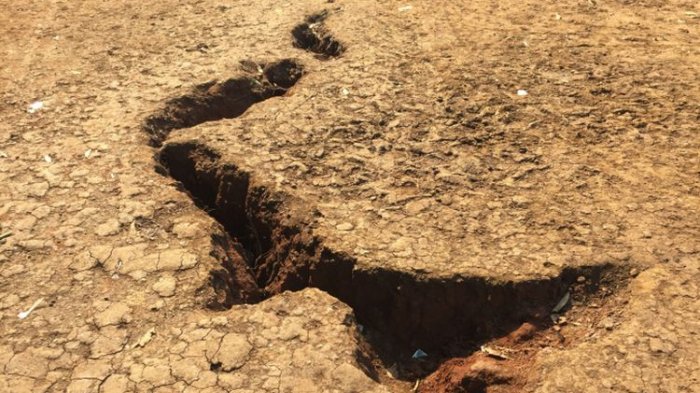 Inilah Penyebab dan Sumber Pencemaran Tanah, Mulai dari Limbah Padat ...
