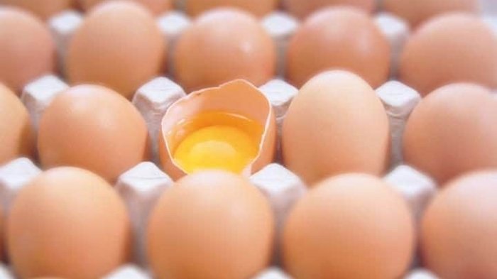 5 Tips Menyimpan Telur di Rumah Agar Tidak Cepat Membusuk, Simpan Telur ...