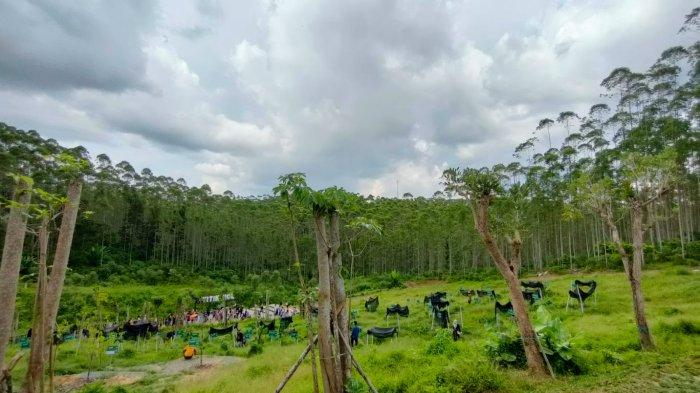 Persemaian Mentawir IKN Nusantara, Mulai Dibangun Waduk Sistem ...