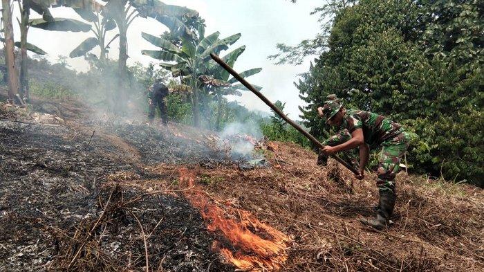 Karhutla di Muara Ancalong Kutai Timur, 50 Titik Api dari Perkebunan ...