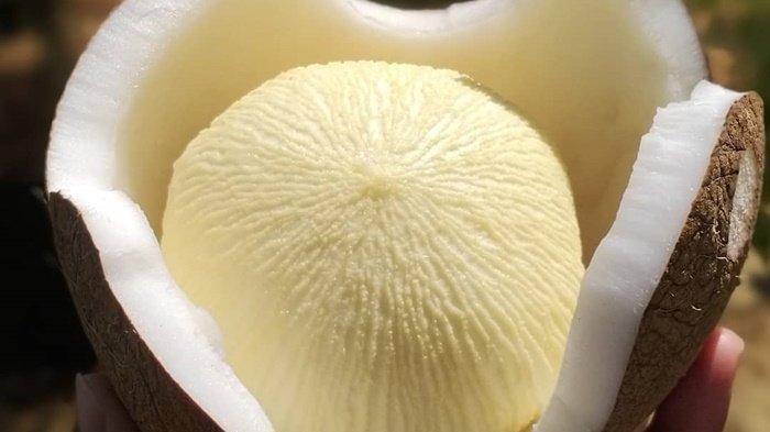 Tidak Disangka, Ini Manfaat Kentos Kelapa Bagi Kesehatan Tubuh, Bisa ...