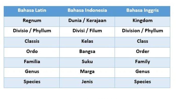 Urutan Tingkatan Takson Dalam Klasfikasi Makhluk Hidup