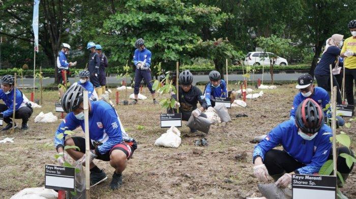 Pertamina Balikpapan Tanam 300 Bibit Pohon Meranti di Jalan Minyak ...