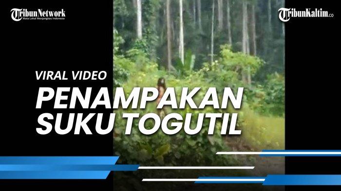 NEWS VIDEO Suku Togutil Muncul dan Memanah Warga yang Hendak ...