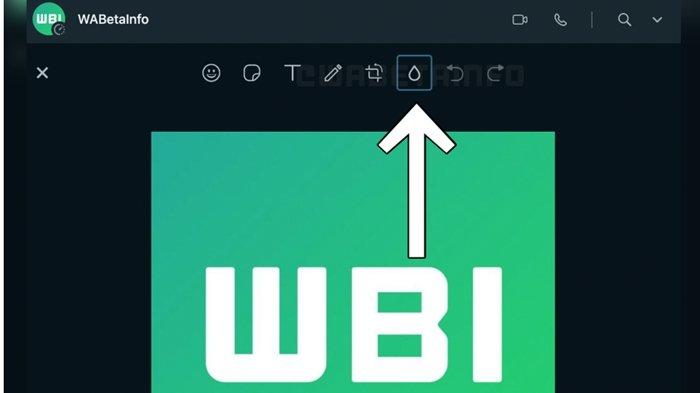 Fitur Baru WhatsApp Web: Fitur Blur Foto Sebelum Dikirim Segera Hadir ...