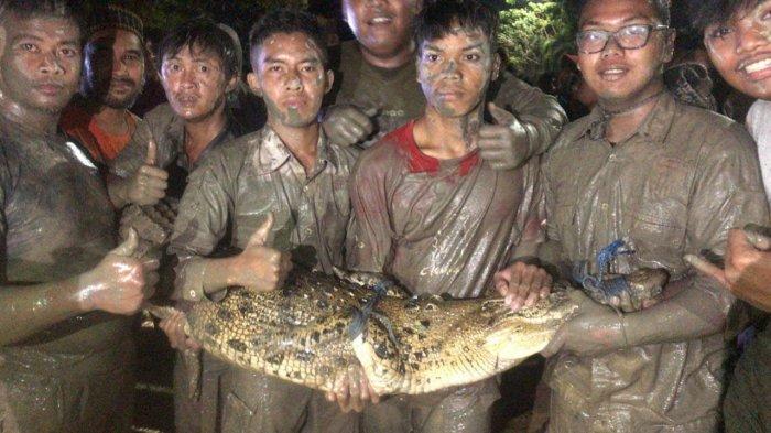 Tiga Hari Dicari, Buaya Sepanjang 2,2 Meter di Palaran Samarinda ...