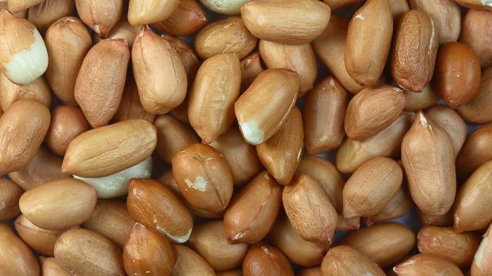 Siapa Sangka Kulit Ari Kacang Tanah Punya Deretan Manfaat Menakjubkan ...