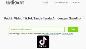 Savefrom YouTube MP4: Download Video dan Convert MP4 ke MP3 Gratis - Tribunkaltim.co