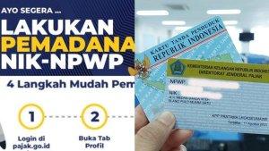 Cara Daftar NPWP Online dengan Login Coretax, bisa lewat HP Lengkap Cara Jika tak Punya Akun DJP ...