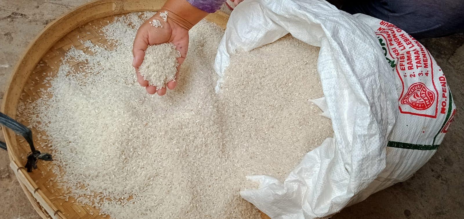 Apa Itu El Nino? Fenomena Cuaca Memengaruhi Dunia, Apakah Ini Penyebab ...