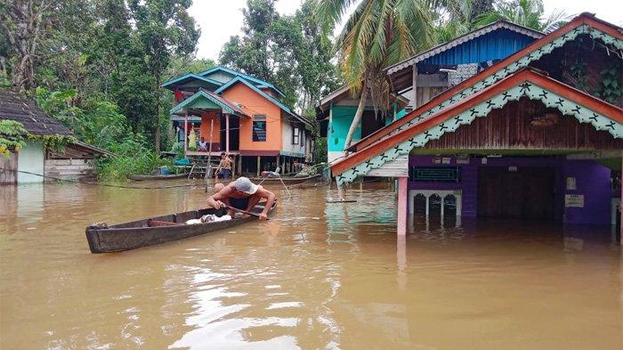 Banjir di Kabupaten Melawi Kalimantan Barat, Empat Kecamatan Terendam ...