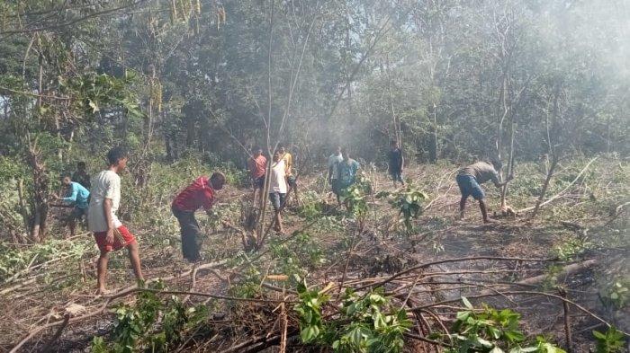 Dukung Program TJPS, SMK Katolik St.Yosef Nenuk di Belu Olah Lahan 1 ...