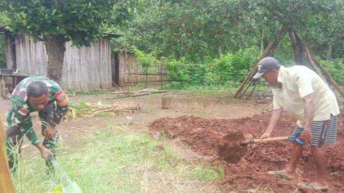 Manfaatkan Lahan Kosong, Babinsa di Belu NTT Bantu Warga Siapkan Lahan ...