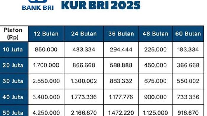 Cek Tabel Besaran Angsuran KUR BRI 2025 per Bulan Nominal Rp 20 juta ...
