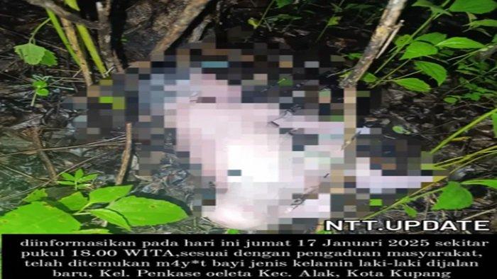 Berita Viral NTT,Netizen Sakit Hati Lihat Jasad Bayi yang Dibuang di Penkase Oeleta Alak Kota ...