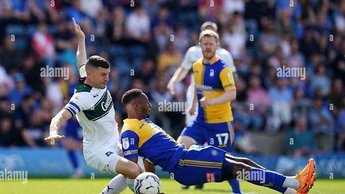 Jelang Liga 1 2024/2025, Bali United Umumkan Pemain Baru untuk Perkuat ...