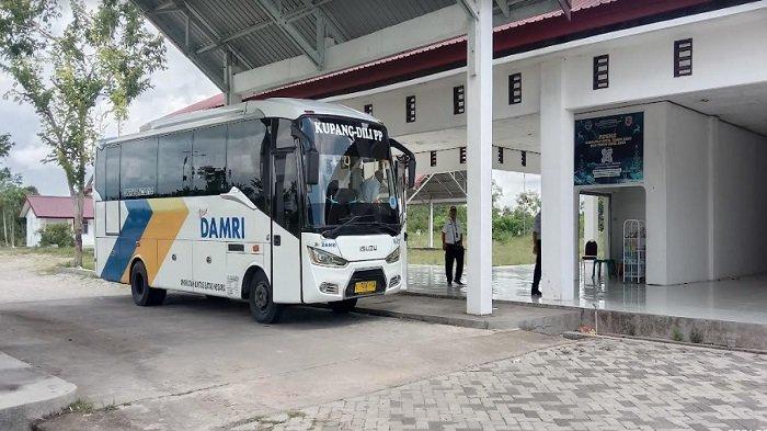 Trayek Bus Kupang-Dili, Andil Besar Kementerian Perhubungan Menyeka ...