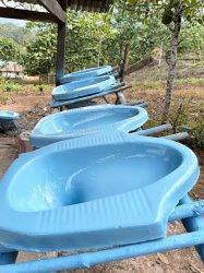 Perangi Stunting dan Gizi Buruk CD Bethesda Alor dan Warga Desa Bangun ...