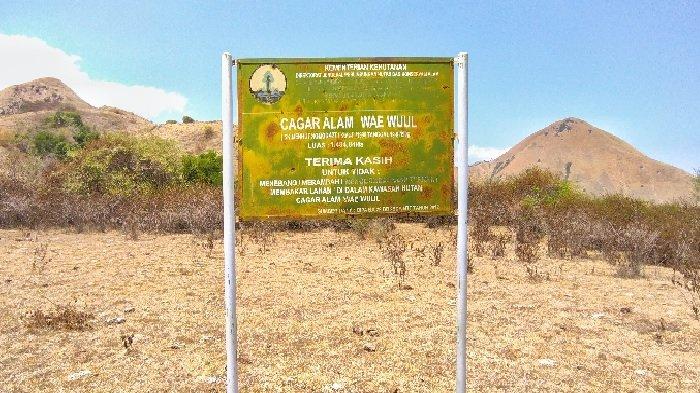 Cagar Alam Wae Wuul Labuan Bajo Bakal Jadi Alternatif Wisatawan Lihat Komodo - Pos-kupang.com