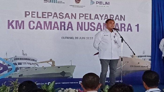 Penuhi Kebutuhan Idul Adha, 550 Ternak Sapi dari NTT Dikirim ke Pulau ...