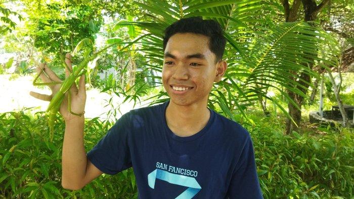 Lipsus - Davis Damaledo Temukan Serangga Baru, Dinamakan Sobe Sonbai ...