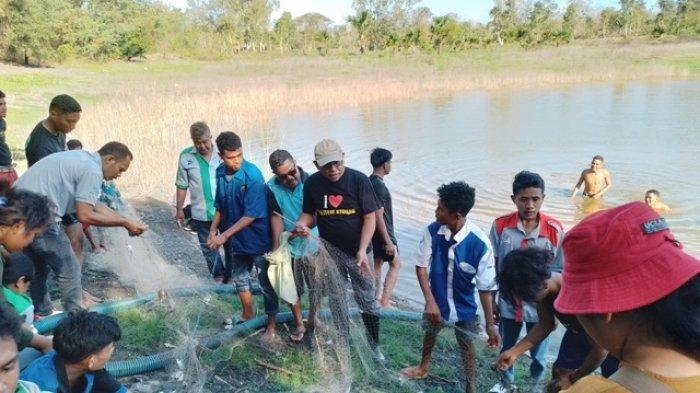 Politani Kupang Panen Raya Ratusan Buah Semangka dan Ikan di UPA ...