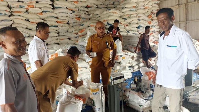 Dinas Pertanian Lembata dan Bulog Larantuka Distribusi Beras Cadangan ... Dinas Pertanian Lembata dan Bulog Larantuka Distribusi Beras Cadangan ...