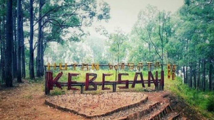 Wisata NTT, Pesona Hutan Kebesani, Ekowisata di Ende NTT dengan Spot ...