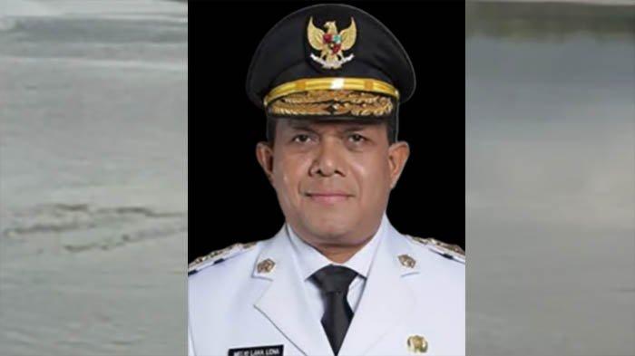 Profil Tokoh Daerah NTT, Emanuel Melkiades Laka Lena dari DPR RI ke Gubernur NTT - Pos-kupang.com