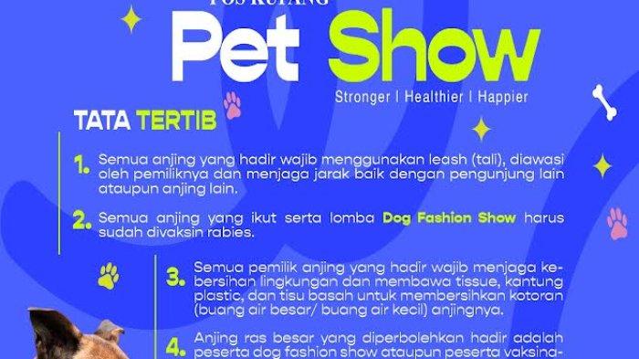 22 Anjing Ras Meriahkan Dog Fashion Show Pos Kupang di Lippo Plaza ...