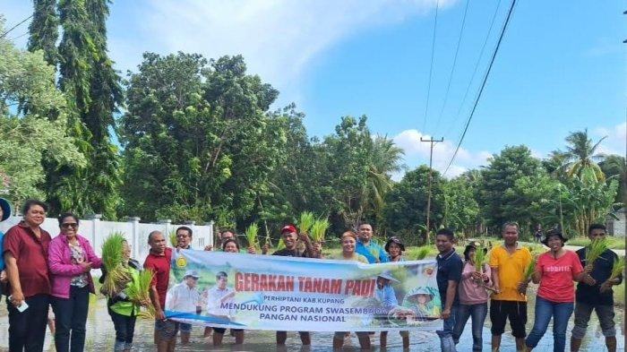 Perhimpunan Penyuluh Pertanian di Kabupaten Kupang NTT Siap Dukung Swasembada Pangan Nasional ...