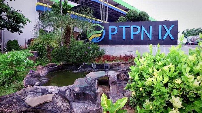 Lowongan Kerja PKWT BUMN Perkebunan PTPN IX bagi Lulusan S1, Ini Posisi ...