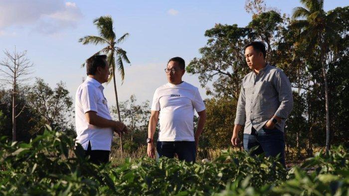 Herman Herry Tak Ikut Pileg 2024, Masyarakat Belu Dukung Stevano ...