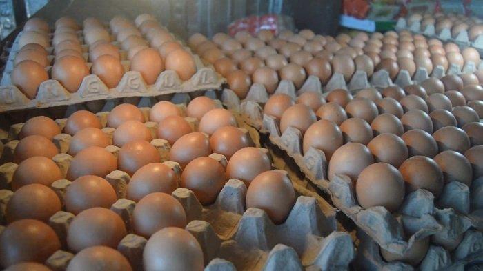 Harga Telur di Pasar Tradisional Atambua Tembus Rp 70 Ribu, Penjual dan ...