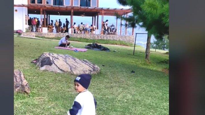Video Viral TikTok, Yuk Liburan ke Humairaco Coffe Puncak Bogor, Jawa ...