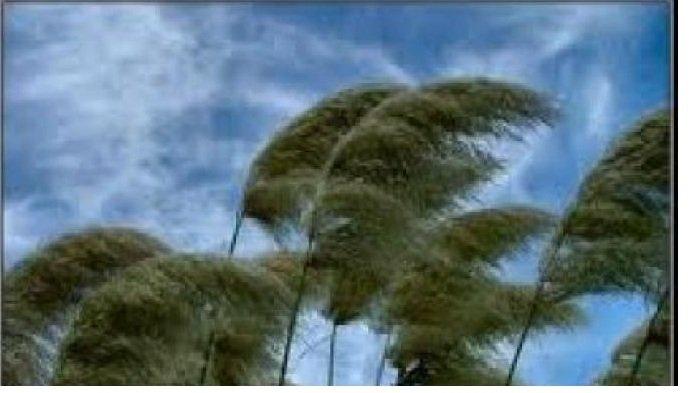 Cuaca NTT Hari Ini, BMKG: Waspada! Tekanan Rendah di Australia Barat ...