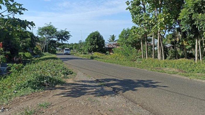 Warga Kembali Minta Pasang Lampu Sepanjang Jalan Jati-Lehong dan Jati-Tambak Borong - Pos-kupang.com