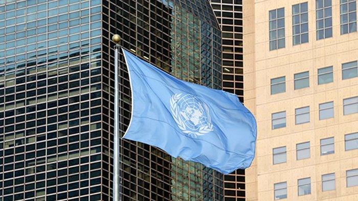 PBB Tangguhkan Keanggotaan Rusia dari Dewan Hak Asasi Manusia, Reaksi ...