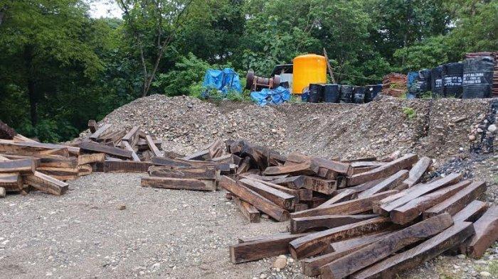 Polres dan UPT KPH TTU Amankan Ratusan Kayu Sonokeling di Lokasi AMP PT ...