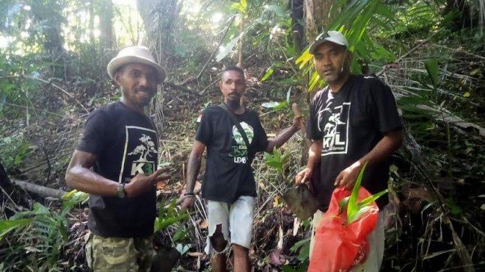 Opini Paul Ama Tukan: Jeritan Bumi dan Pertobatan Ekologis - Pos-kupang.com