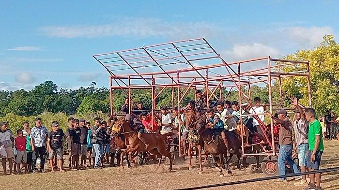 92 Ekor Kuda dari Enam Kelas Ikut Lomba Pacuan Kuda Bupati Rote Ndao ...
