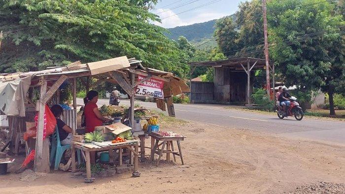 Kisah Penjual Sayur di Jalan Trans Flores Larantuka, Lusia Tetap Tersenyum Meski Dagangan Tak ...