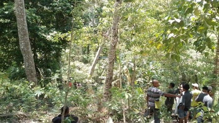 Begini Pengakuan Warga yang Temukan Mesak Baok - Pos-kupang.com